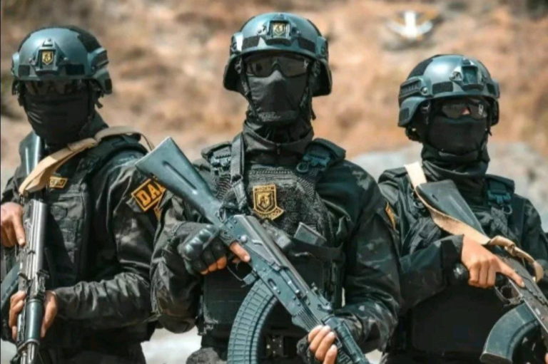 ¿Qué es y cómo funciona la DGCIM? El organismo para perseguir militares ...